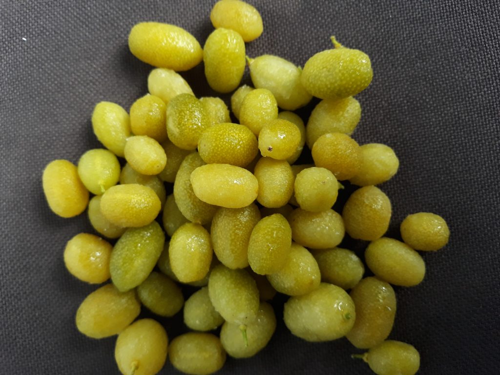 desert-limes – Fingerlime Caviar